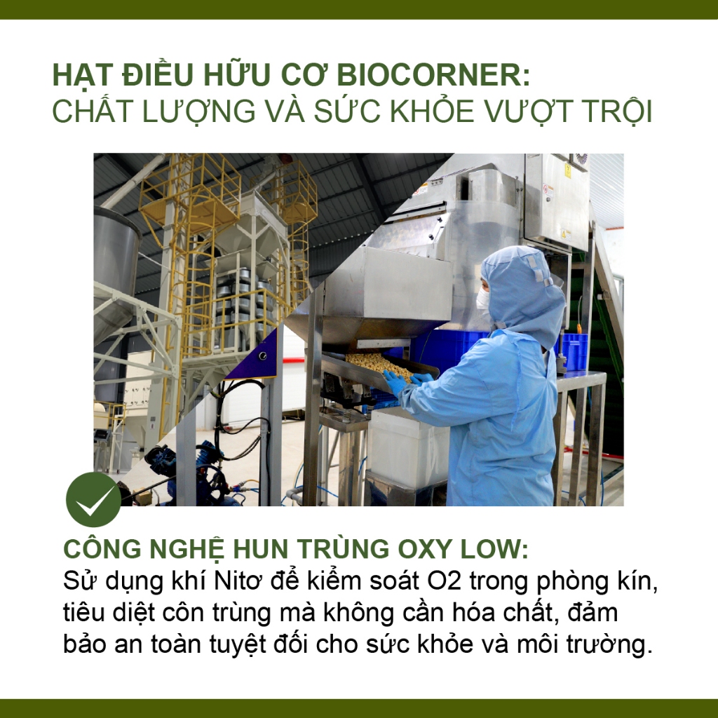 Bio Corner オーガニックカシューナッツ ヒマラヤピンクソルト 150g Bio Cornerの通販・個人輸入代行販売商品 - vietnam porter