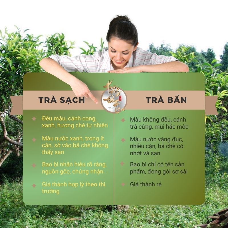 ホアンダン茶 古樹珍茶 シャン雪茶 最高級茶葉 125g ホアンダンの通販・個人輸入代行販売商品 - vietnam porter